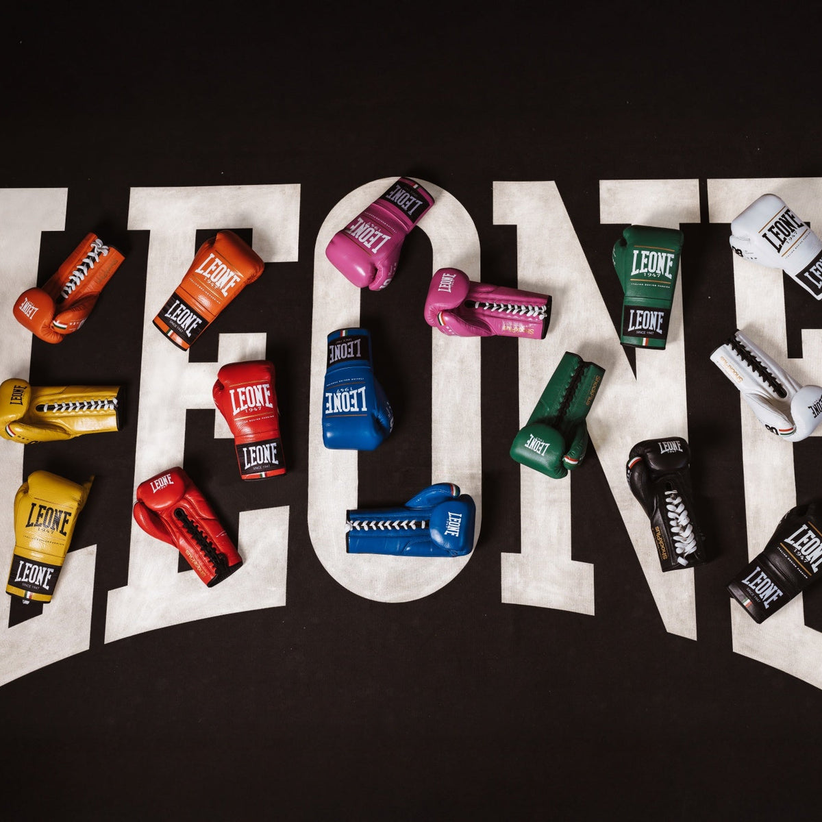 Leone 1947: Italian Legacy and Championship Quality – FightShop.si